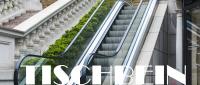 China Stainless Steel Commercial Escalator for sale