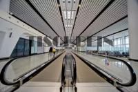 China 1000mm Moving Walkway for sale