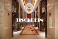 China 1500kg 1600kg 2000kg Passenger Elevator 2m/s 4m/s Speed For Hotel Residential Building Office Building Shopping Mall for sale