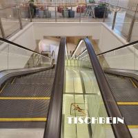 China 800mm Step Commercial Escalator Two Direction Moving Option With Illumination for sale