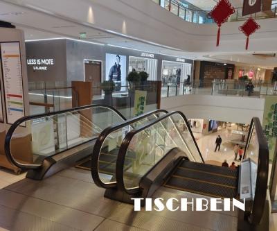 China 800mm Step Commercial Escalator Two Direction Moving Option With Illumination for sale