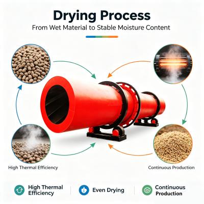 China Rotary Drum Fertilizer Dryer for Industrial Scale Drying of Fertilizer Granules Featuring Easy Installation and Operation for sale