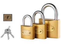China Weather Resistant Small Keyed Alike Padlocks 20 Pack Copper Alloy for sale