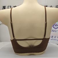 China Wireless High Support seamless jelly sports bra For Women Daily Wear for sale