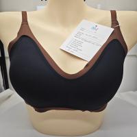 China Elastic Supportive Translucent Sport Wire Free Bra For Daily Wear for sale