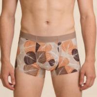 China Modal Ice Silk Cozy Men's Breathable Boxer Briefs For Everyday for sale