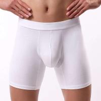 China Long ‑ Leg Stretchy Sporty Men's Breathable Boxer Briefs For Gym Workouts for sale