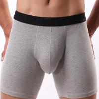 China Long ‑ Leg Stretchy Sporty Men's Breathable Boxer Briefs For Gym Workouts for sale