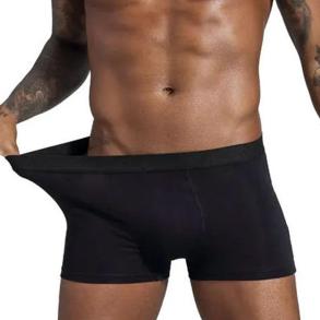 China Moisture ‑ Wicking Sustainable Men's Breathable Boxer Briefs For All ‑ Day for sale