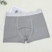 China Durable Performance Stretchy Men's Breathable Boxer Briefs For Everyday for sale
