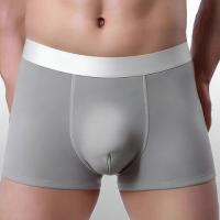 China Durable Performance Stretchy Men's Breathable Boxer Briefs For Everyday for sale