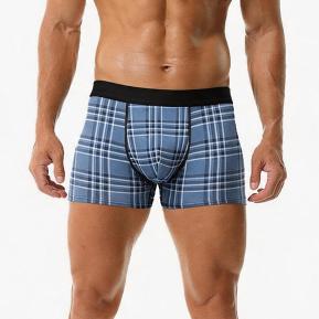 China Versatile Lightweight Soft Men's Breathable Boxer Briefs For Everyday for sale