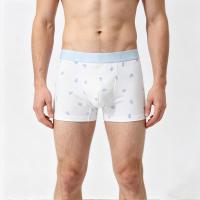 China Smooth Colorfast Washable Men's Breathable Boxer Briefs For Everyday for sale