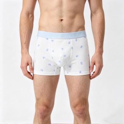 China Smooth Colorfast Washable Men's Breathable Boxer Briefs For Everyday for sale
