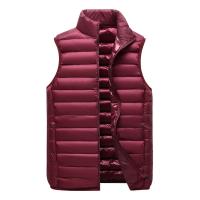 China Windproof Lightweight Down Vest with Stand-Up Collar for Outdoor Activities for sale