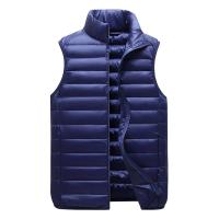 China Windproof Lightweight Down Vest with Stand-Up Collar for Outdoor Activities for sale