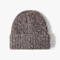 China Unisex Versatile Wool-Blend Winter Beanie with Skin-Friendly Fabric and Wind-Resistant Design for sale