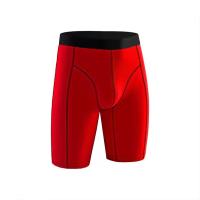 China Elastic Moisture ‑ Wicking Sporty Men's Breathable Boxer Briefs For Outdoor Activities for sale