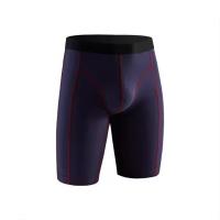 China Elastic Moisture ‑ Wicking Sporty Men's Breathable Boxer Briefs For Outdoor Activities for sale