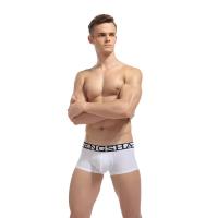 China Weightless Cooling Ventilated Sporty Men's Breathable Boxer Briefs For Outdoor Activities for sale