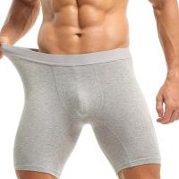 China Antibacterial Long-Leg Anti-Slip 4-Way High-Elastic Men's Performance Boxer Briefs for Outdoor Activities for sale