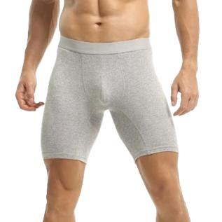 China Antibacterial Long-Leg Anti-Slip 4-Way High-Elastic Men's Performance Boxer Briefs for Outdoor Activities for sale