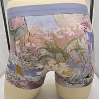 China Tender Skin-Friendly Men's Boxer Briefs with Versatile Adaptive Fit and All-Day Breathable Comfort for sale