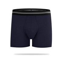 China Breathable Plush Washable Men's Performance Boxer Briefs with Moisture Wicking for All-Day Comfort for sale