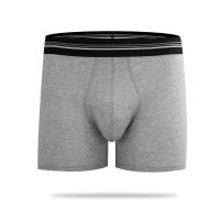 China Breathable Plush Washable Men's Performance Boxer Briefs with Moisture Wicking for All-Day Comfort for sale