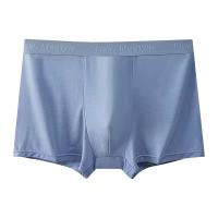 China Stretchy Antibacterial Modal Men's Performance Boxer Briefs for Everyday Comfort Fit for sale