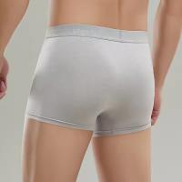 China Stretchy Antibacterial Modal Men's Performance Boxer Briefs for Everyday Comfort Fit for sale