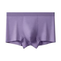 China Antibacterial Modal Cooling Men's Performance Boxer Briefs with 4-Way Stretch for Everyday Wear for sale