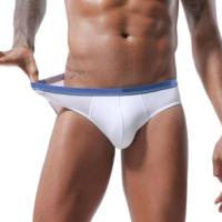 China 4-Way Stretch Moisture-Wicking Men's Performance Boxer Briefs with Contoured Pouch for Outdoor Activities for sale