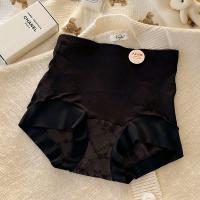China Seamless 4-Way Stretch Breathable Quick-Dry Polyamide Ladies' Briefs for Travel for sale