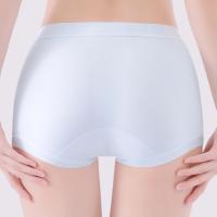 China Lightweight Stretchable Breathable Polyamide Ladies' Briefs for Layering for sale