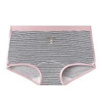 China Premium Long-Staple Combed Cotton Ladies' Briefs with Body-Mapped Stay-Put Fit and Elegant No-Show Silhouette for sale