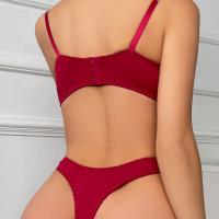 China Lustrous Polyamide Lace Lady's Bra Set with Weightless Comfort for Festive Holiday Lounge Wear for sale