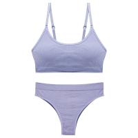 China Quick-Dry Unrestricted Fit Breathable Fabric Sports Bra Set for Yoga and Home Workouts for sale