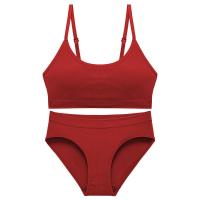 China Hypoallergenic Seamless Jelly Sports Bra with Adjustable Straps and Medium Support for sale