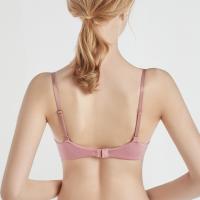 China Breathable Ultra-Soft Elastic Seamless Jelly Sports Bra Wireless Jelly Strip Lacy Sports Bra for Daily Lounge for sale