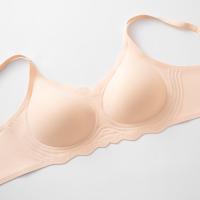 China Plus Size Seamless Jelly Sports Bra with Plush Soft Fabric and Wireless Seamless Support for Everyday Outdoor Activities for sale