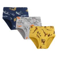 China Fitting Comfy Breathable Children's Underwear Cotton Kids Underwear for Everyday Home Wear for sale