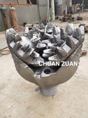 China China Sealed Roller Bearing 19 1/2