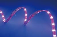 China SMD5050 24V RGBW LED Strip IP20 Indoor 24 Volt Led Tape Light for sale
