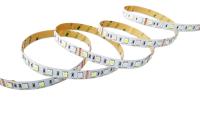 China SMD5050 24V RGBW LED Strip IP20 Indoor 24 Volt Led Tape Light for sale