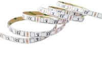China SMD5050 24V RGBW LED Strip IP20 Indoor 24 Volt Led Tape Light for sale