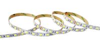 China SMD5050 24V RGBW LED Strip IP20 Indoor 24 Volt Led Tape Light for sale