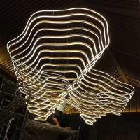 China Extruded Silicone LED Neon Flex 12x20mm R Y O G B PW DW WW Color Options for sale