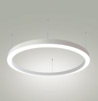 China 2700K-3500K Hanging Circle Led Light 27994lm Linear Suspension Lighting for sale