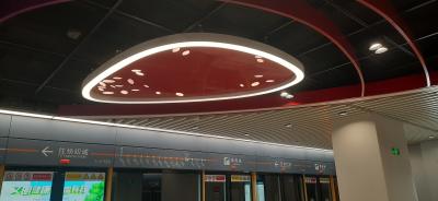 China Irregular Figure Type Led Ring Ceiling Lights 260W Circle Led Hanging Light for sale
